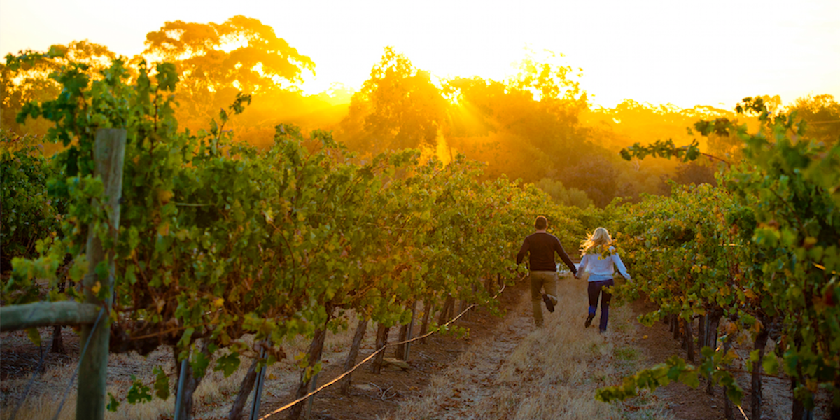 Where To Eat In The Clare Valley - Aus Weekend Escapes