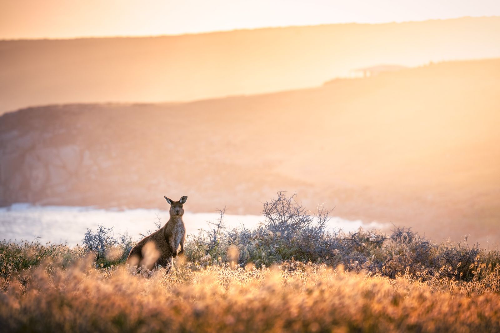 The best national parks in Kangaroo Island | SA Weekend Escapes