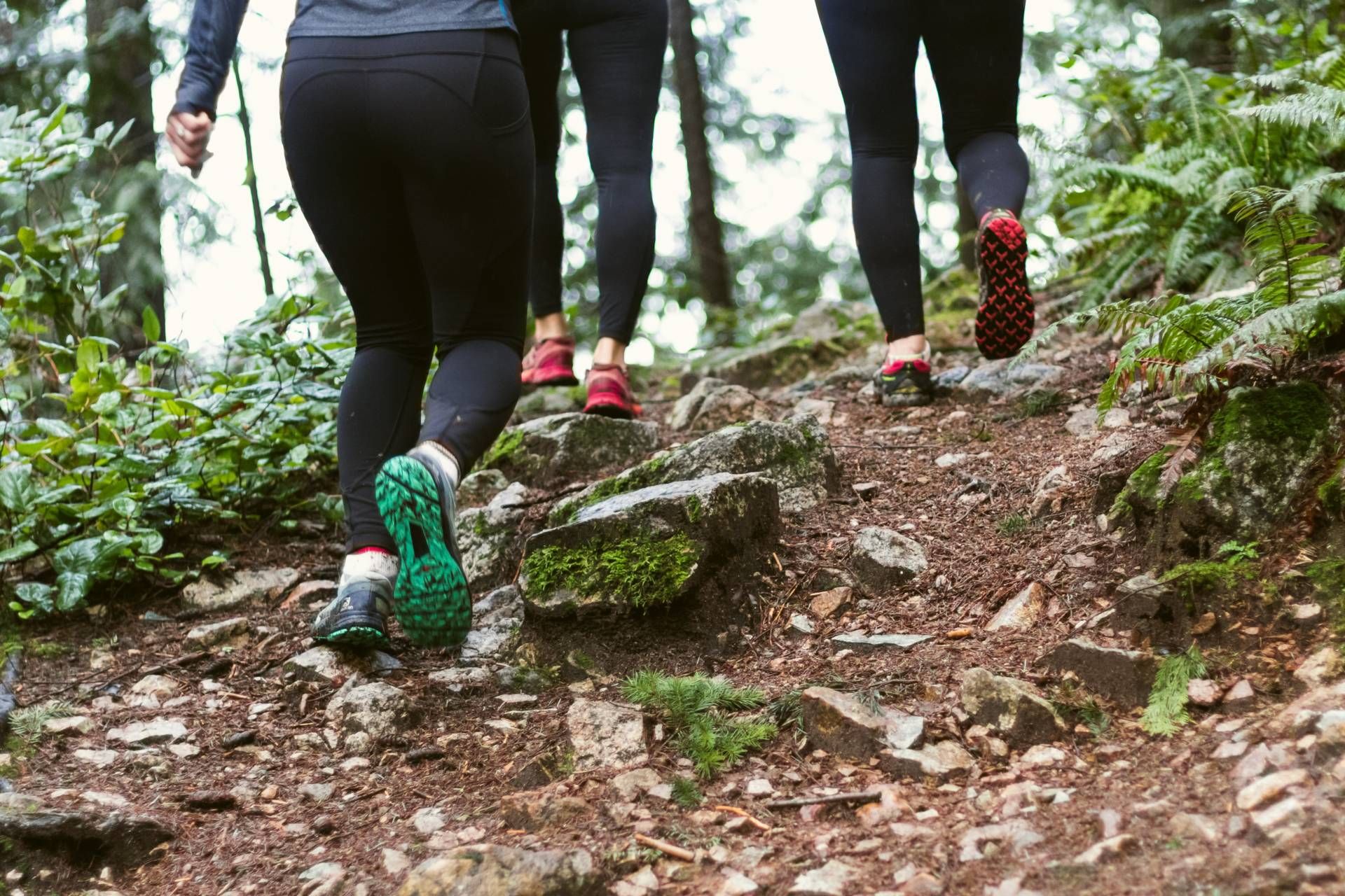 Top 5 Hunter Valley Walking Tracks - Aus Weekend Escapes