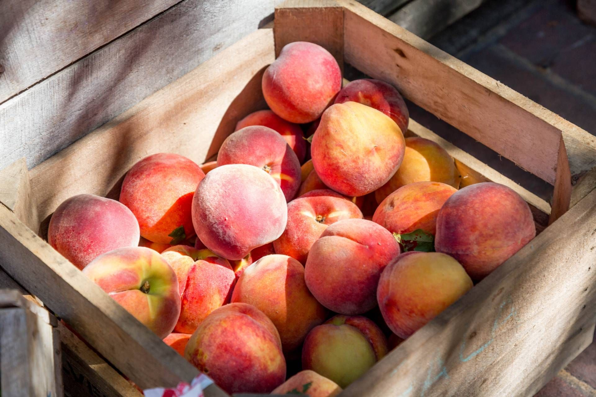 Best Shepparton orchards and produce | AUS Weekend Escapes